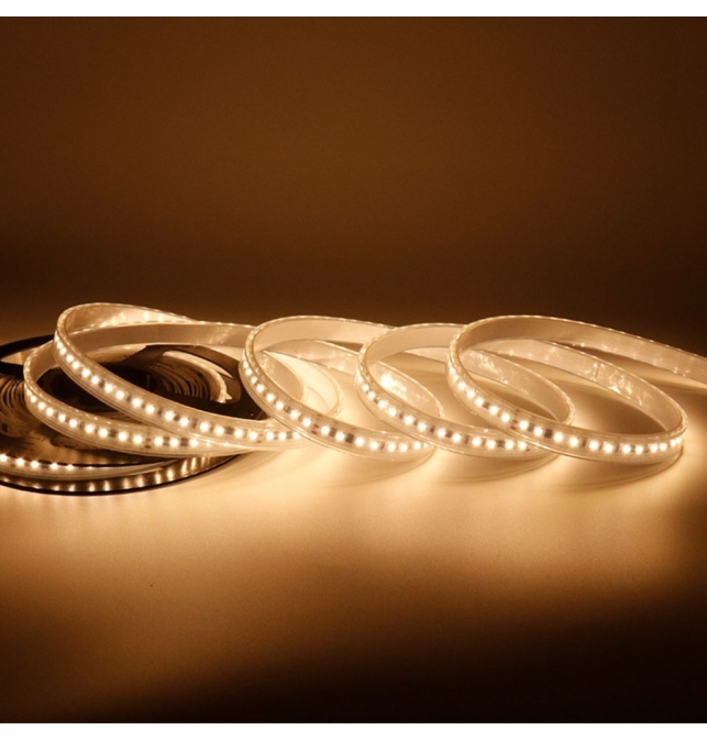 Tira led SMD 220V 12W 1140Lm/m CRI80 IP65 ancho 10mm corte 10cm